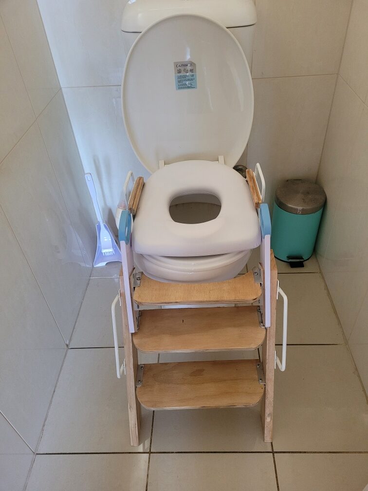 Toilet Steps